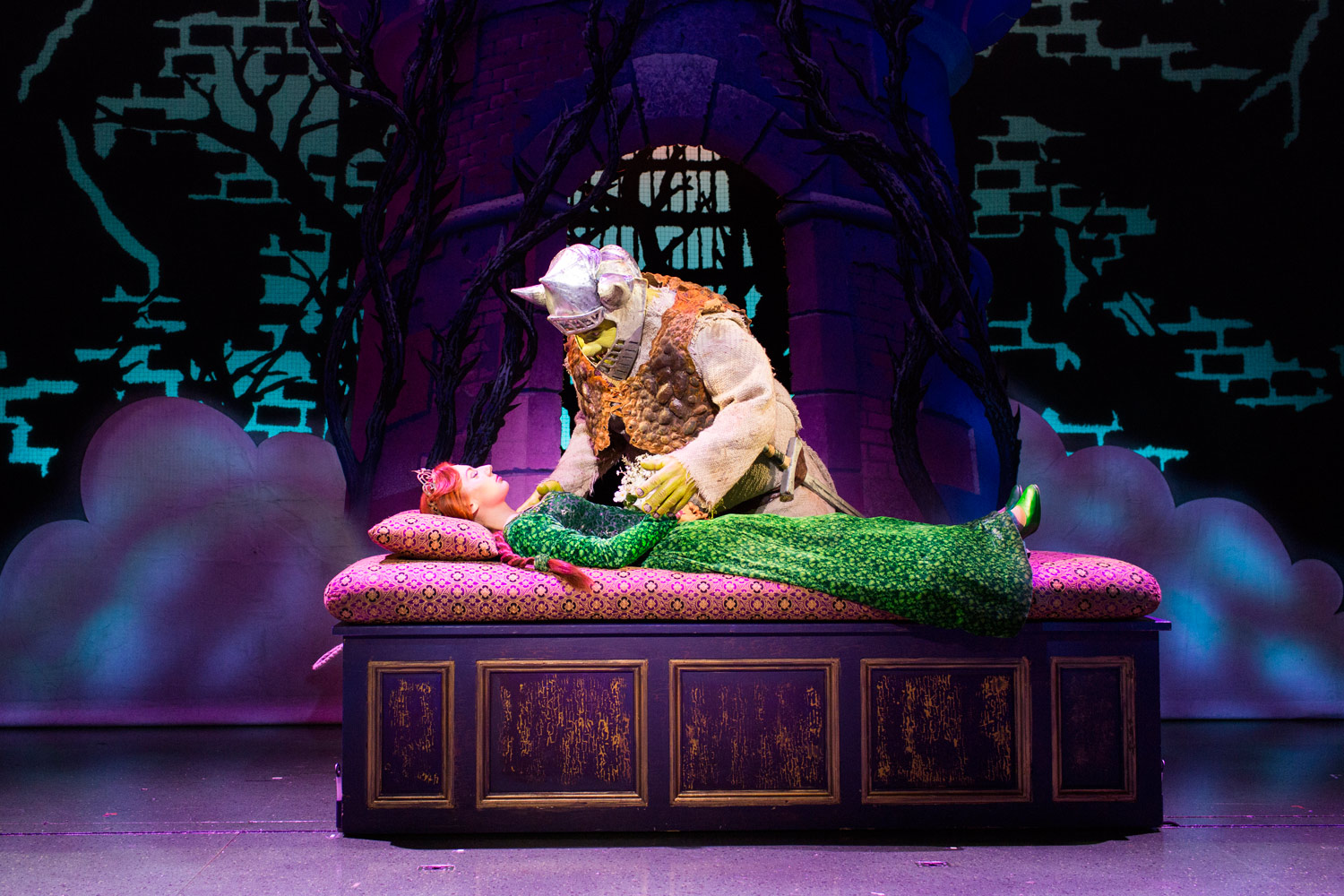 Shrek The Musical | xameliax