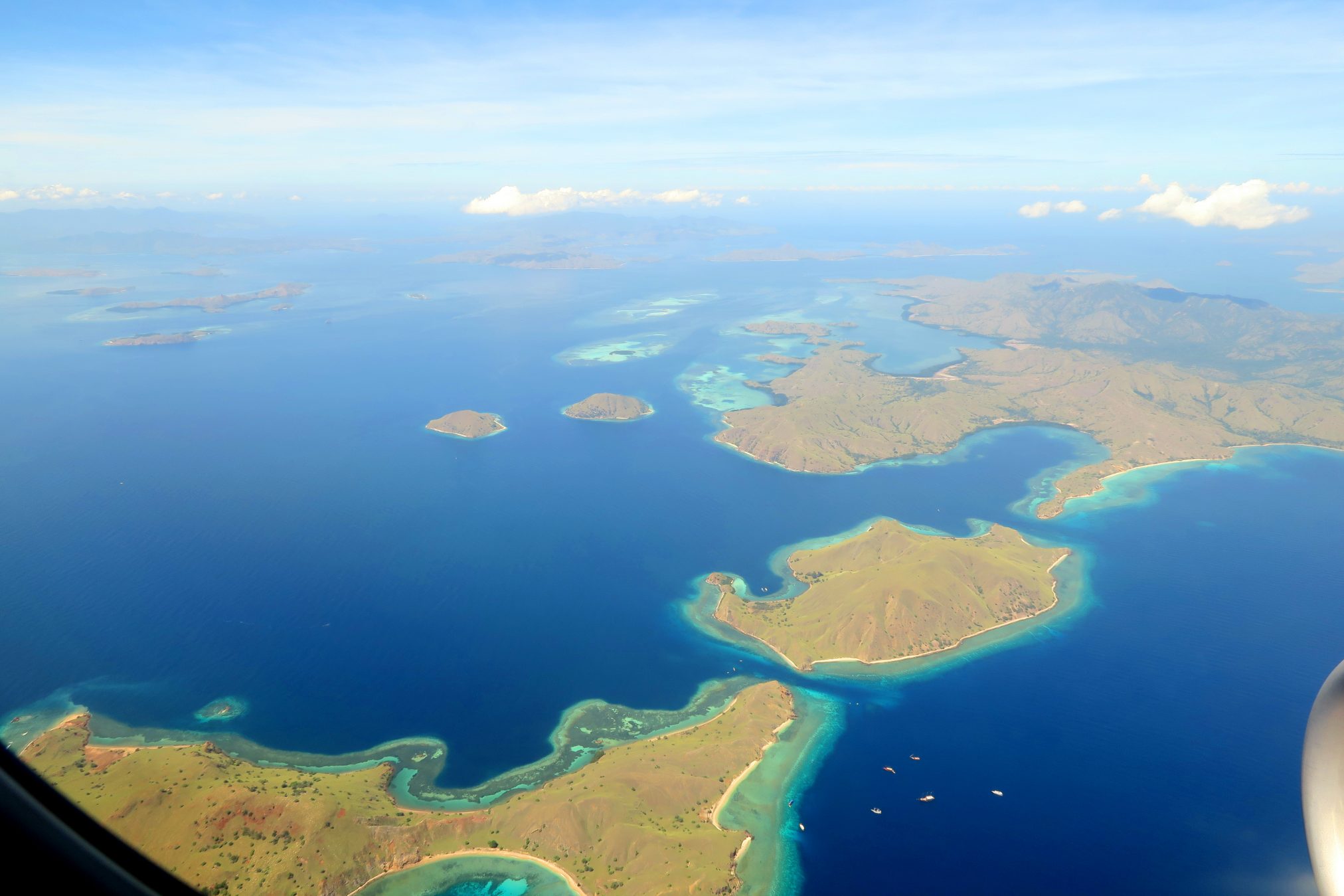 Why The Komodo Dragon Islands Are Travel Must See | xameliax