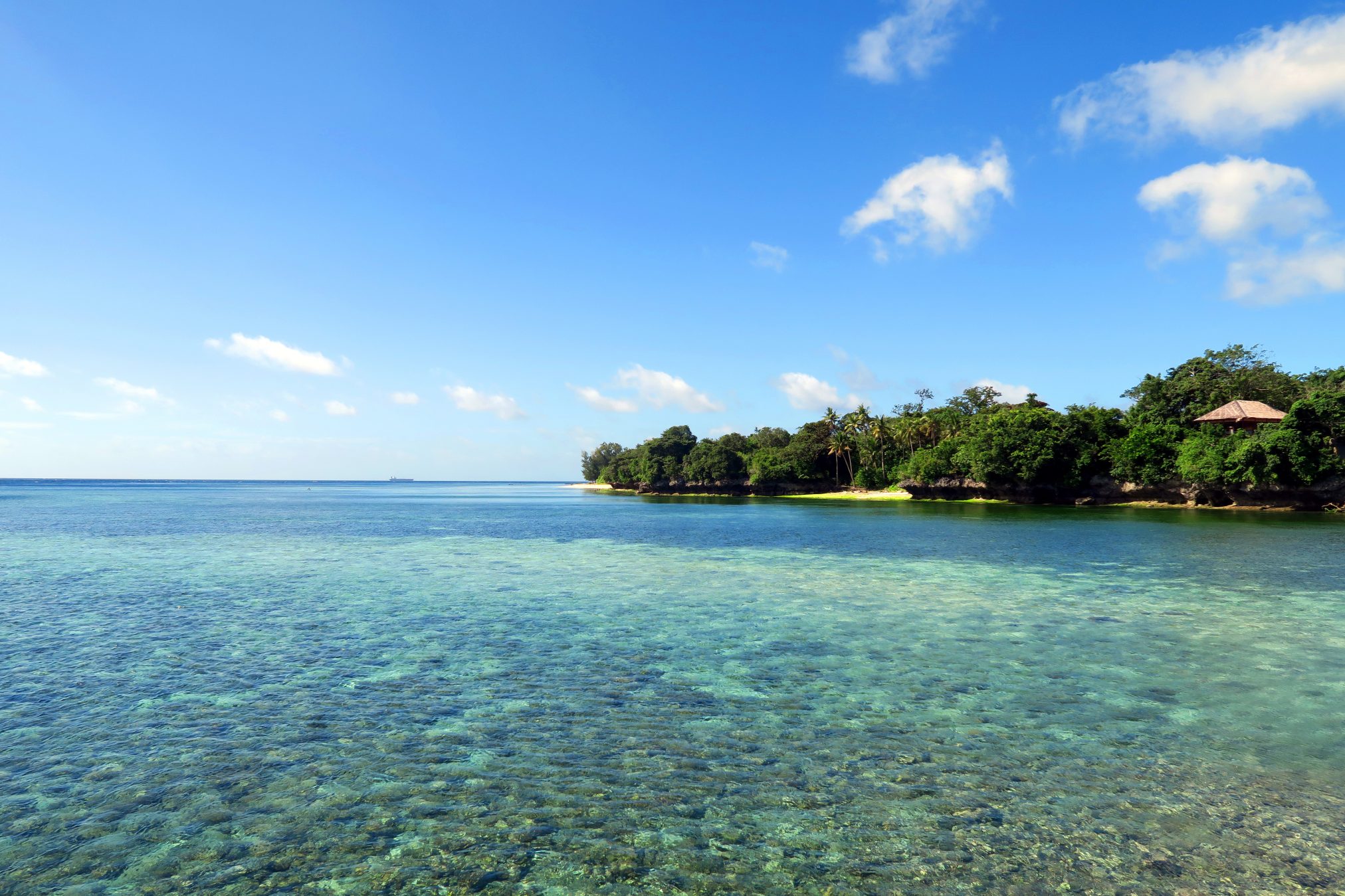 The 3 Wonders of Wakatobi | xameliax