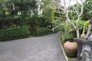 Not Just For Parties and Palm Trees | The Hidden Gems of Bali | xameliax