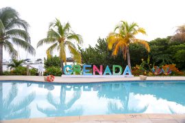 Things to do in Grenada for a Day Trip on The Island!