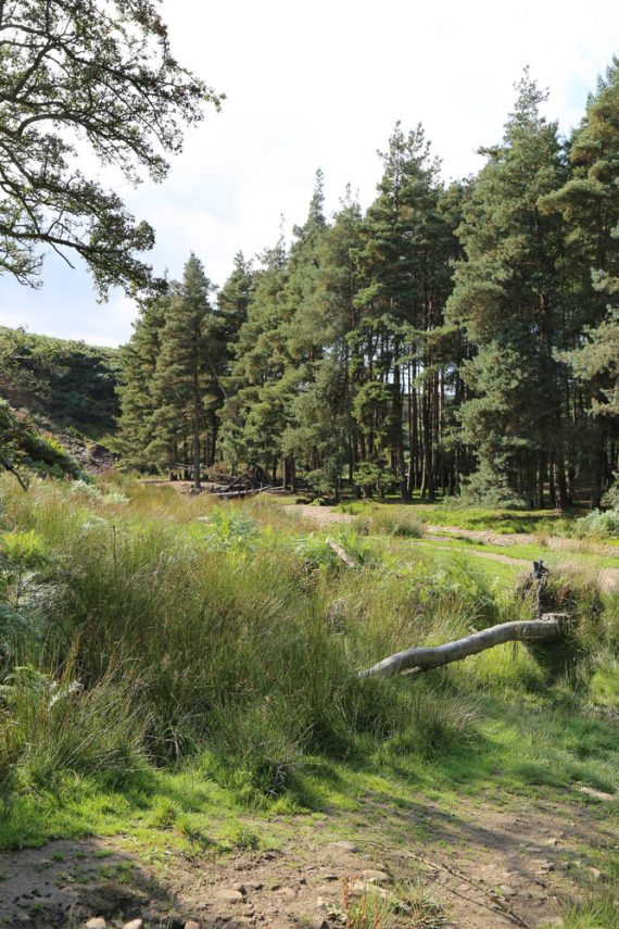 Places to Visit in Sheffield: Your Weekend City Guide